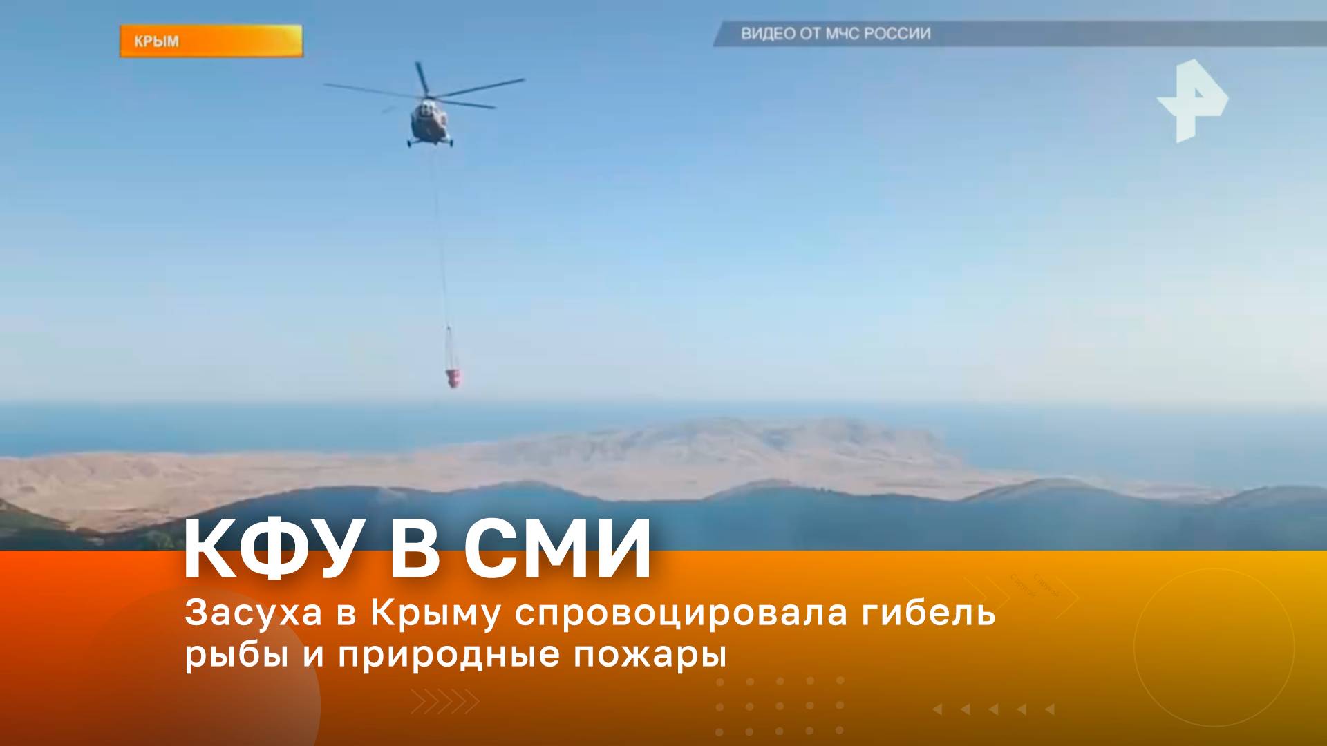 Засуха в Крыму спровоцировала гибель рыбы и природные пожары
