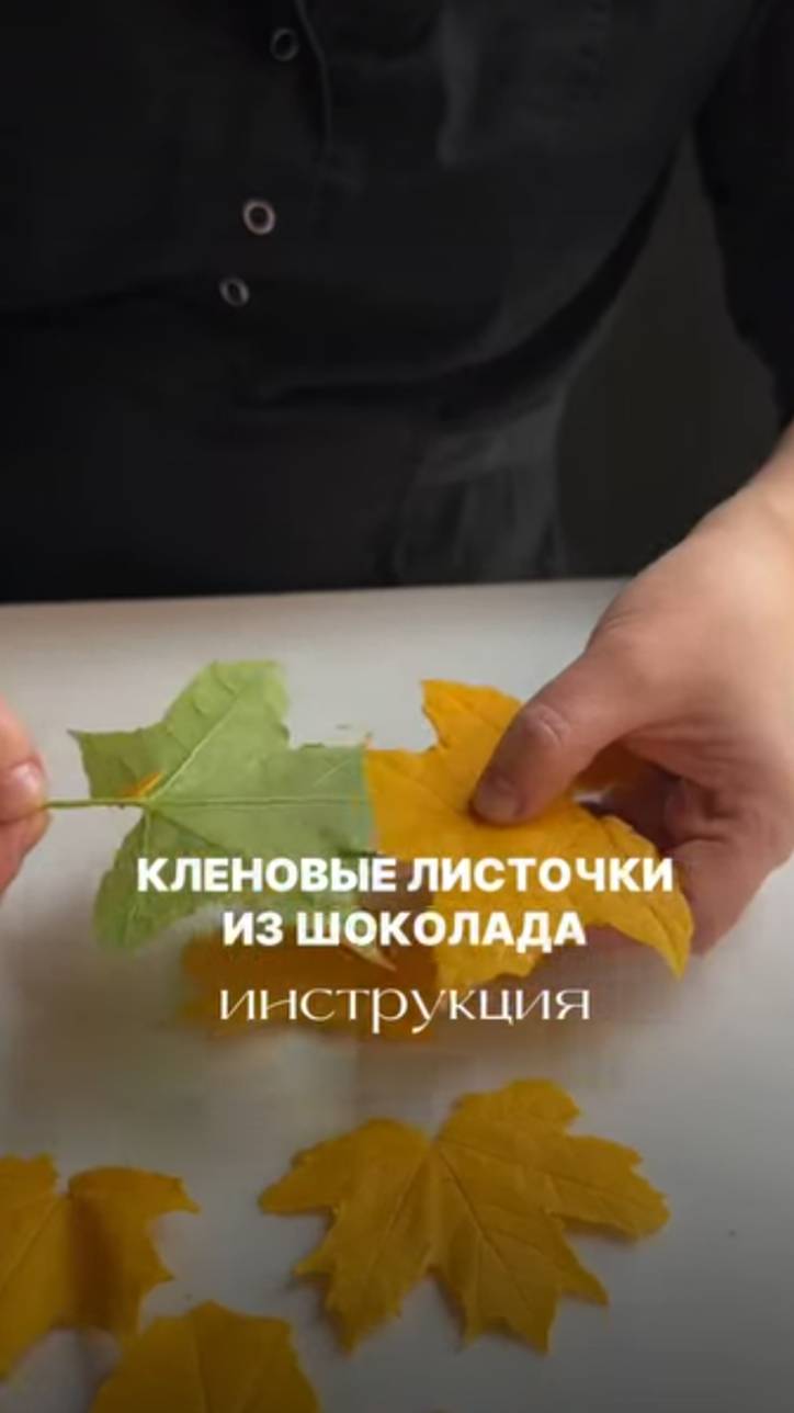 Кленовые листочки из шоколада