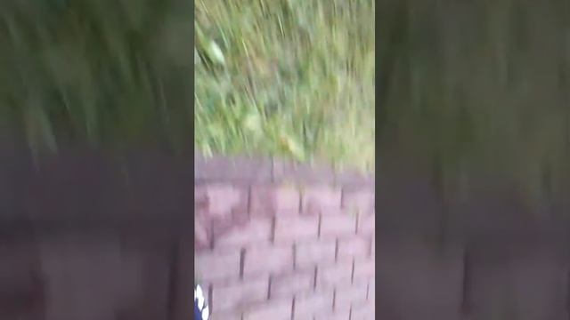 ¿?¿?¿?¿?¿?¿?¿