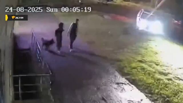 Водитель Ниссана припарковался в столб на Одоевского в Новосибирске