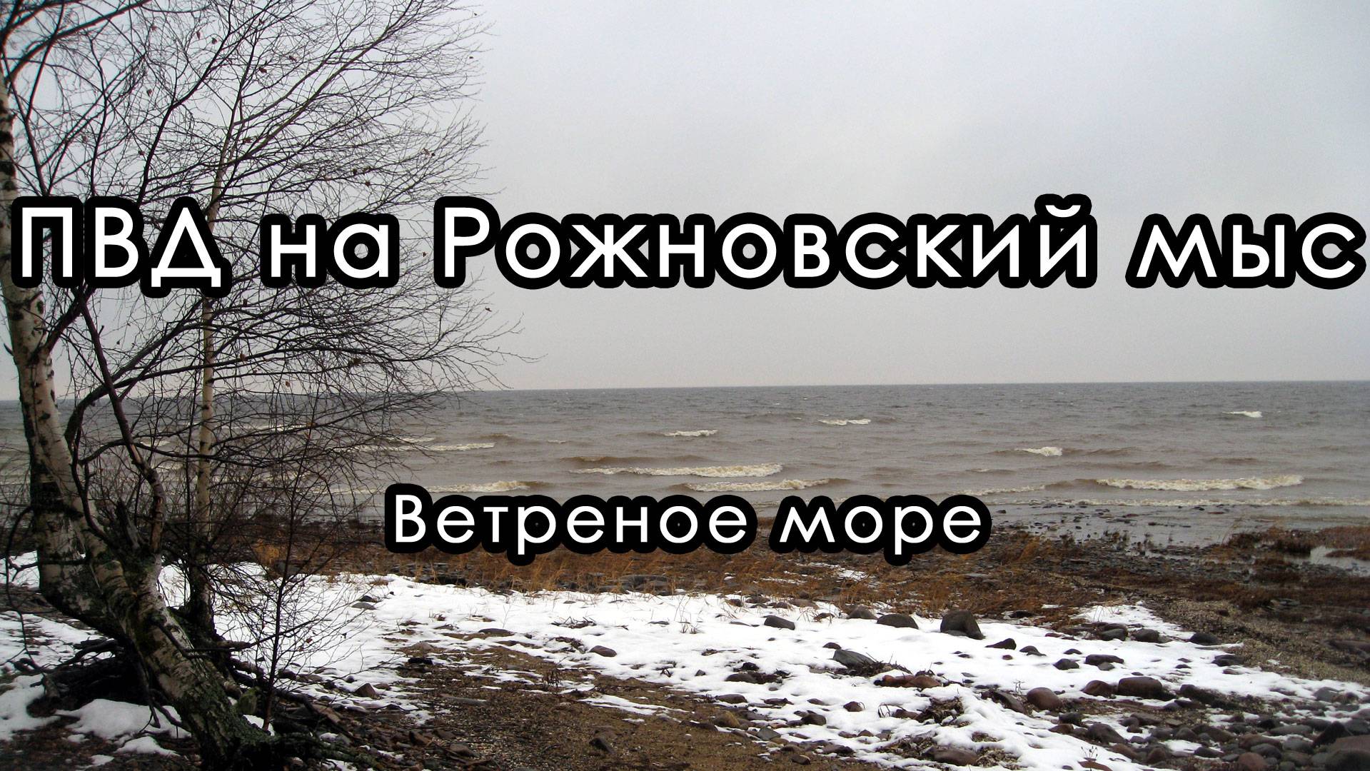 Поход к ветреному морю. Рожновский мыс. Рыбинское водохранилище, Ярославская область.