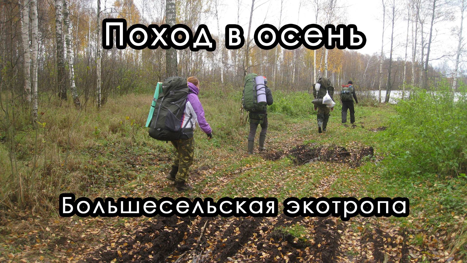 Поход в осень. Разведка сегмента Большесельской экотропы. Вареговские карьеры. Ярославская область.