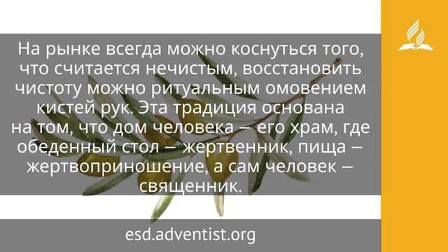 27 августа 2025. «Окропи меня иссопом». Под сенью благодати