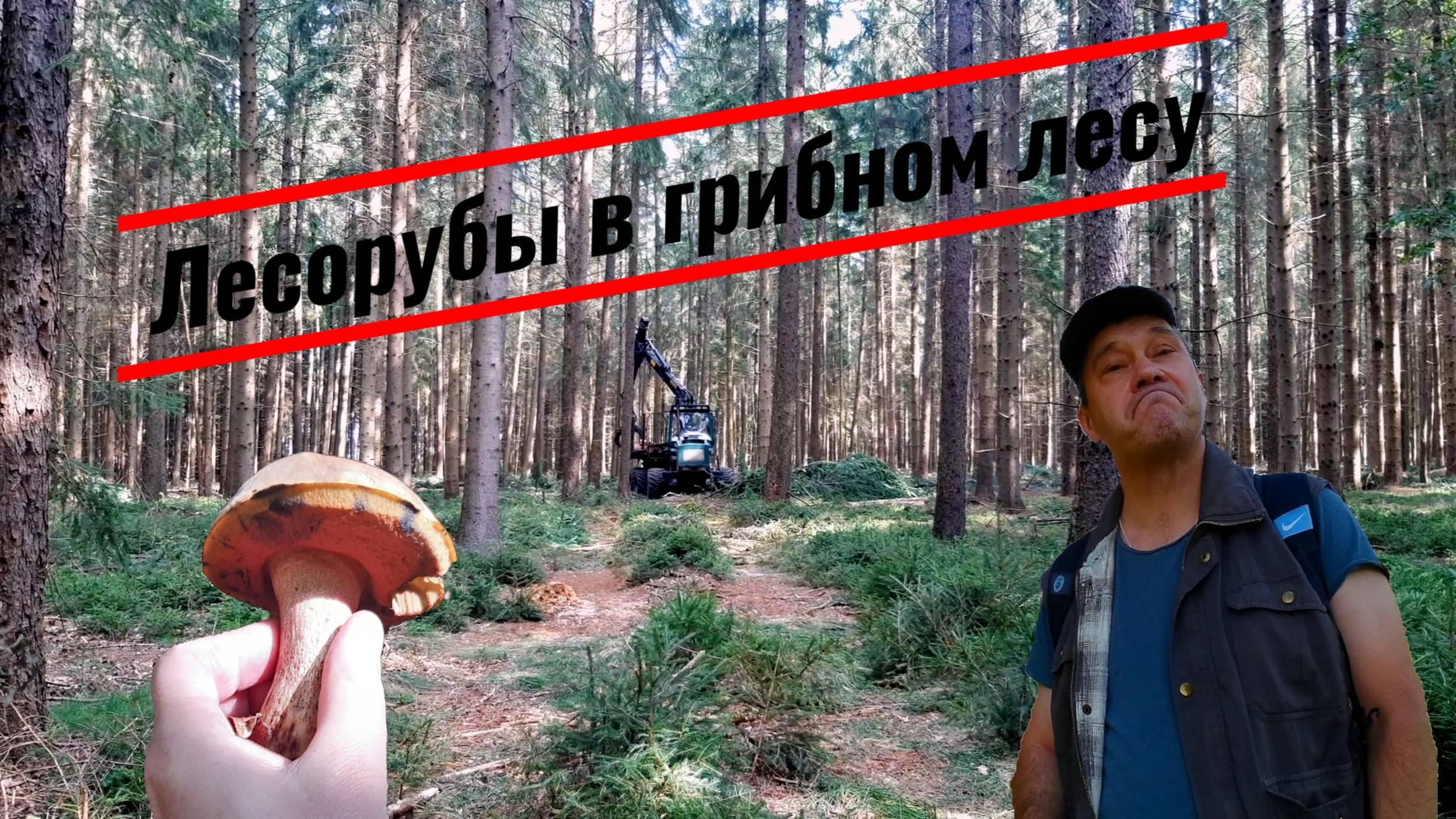 Лесорубы в грибном лесу.