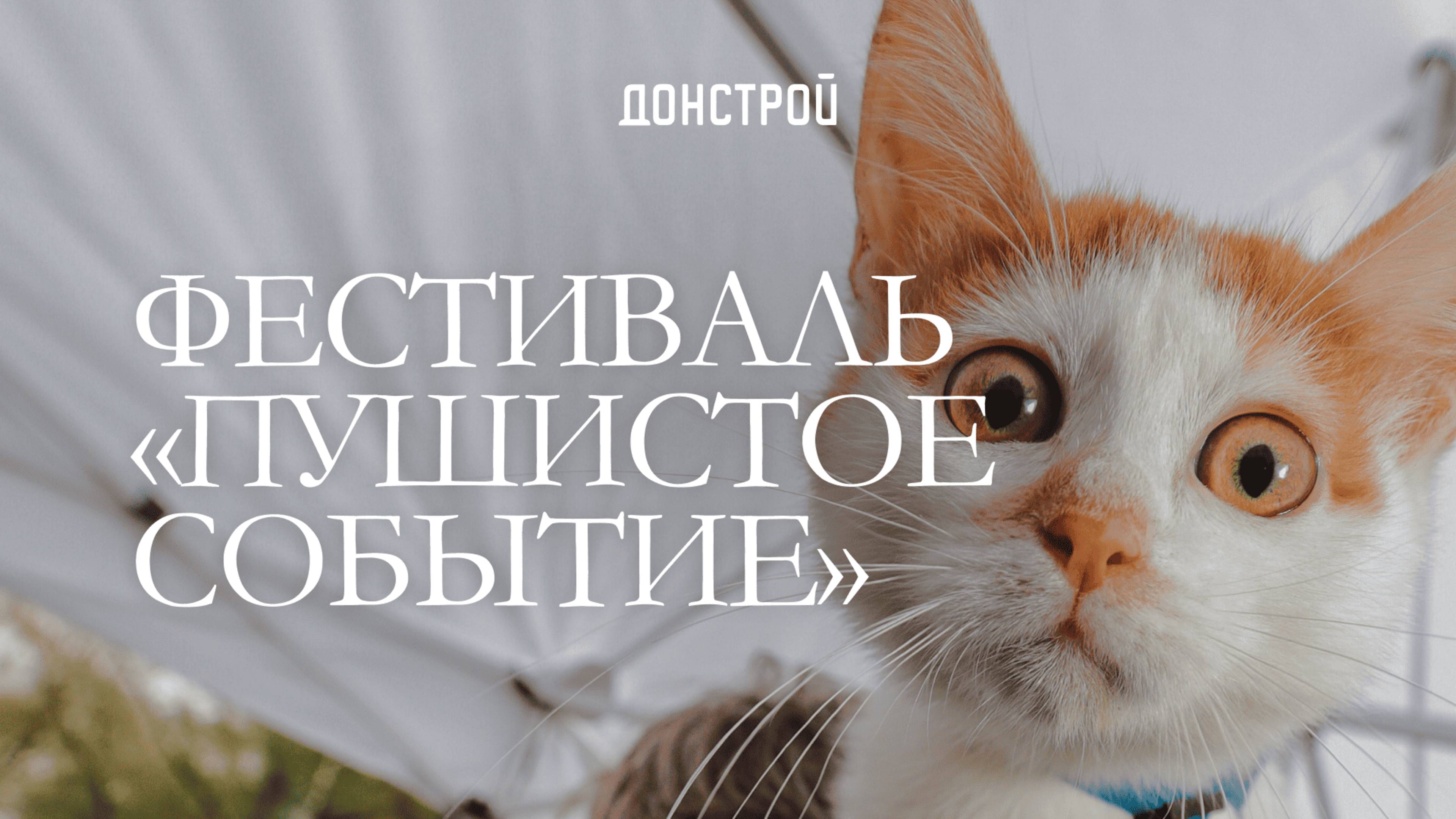 ПАРК СОБЫТИЕ l БЛАГОТВОРИТЕЛЬНЫЙ ФЕСТИВАЛЬ
