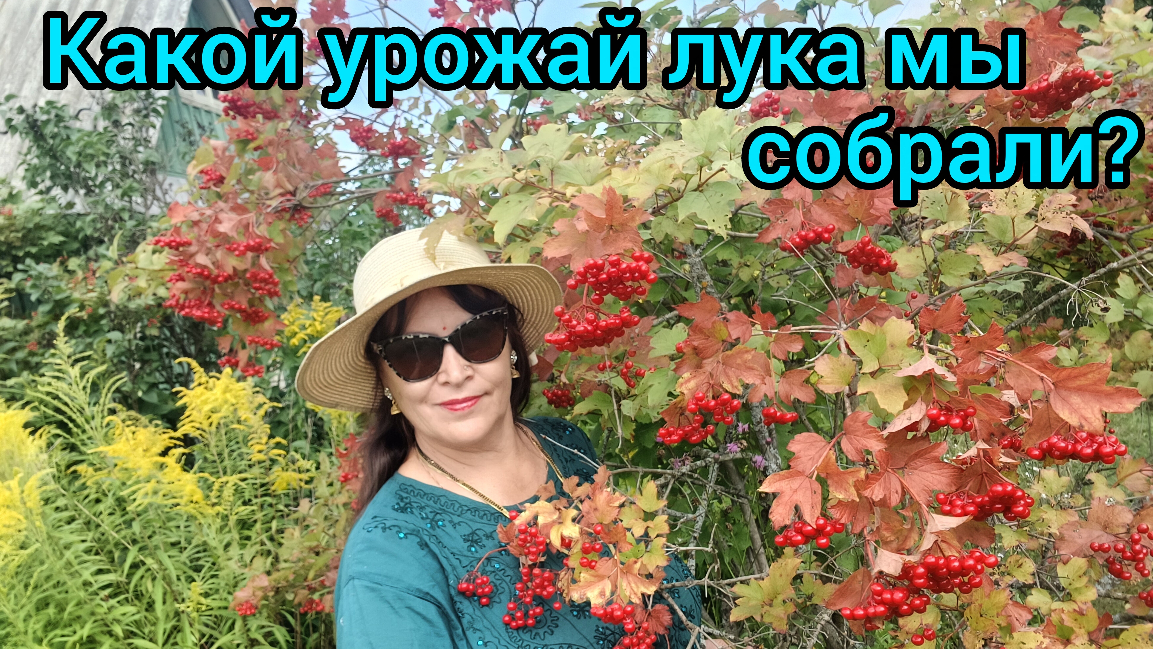 Какой  урожай  лука  и  чеснока мы собрали 🧅🧄😋😍🤩😁