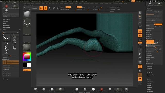 03 - Adding Roots