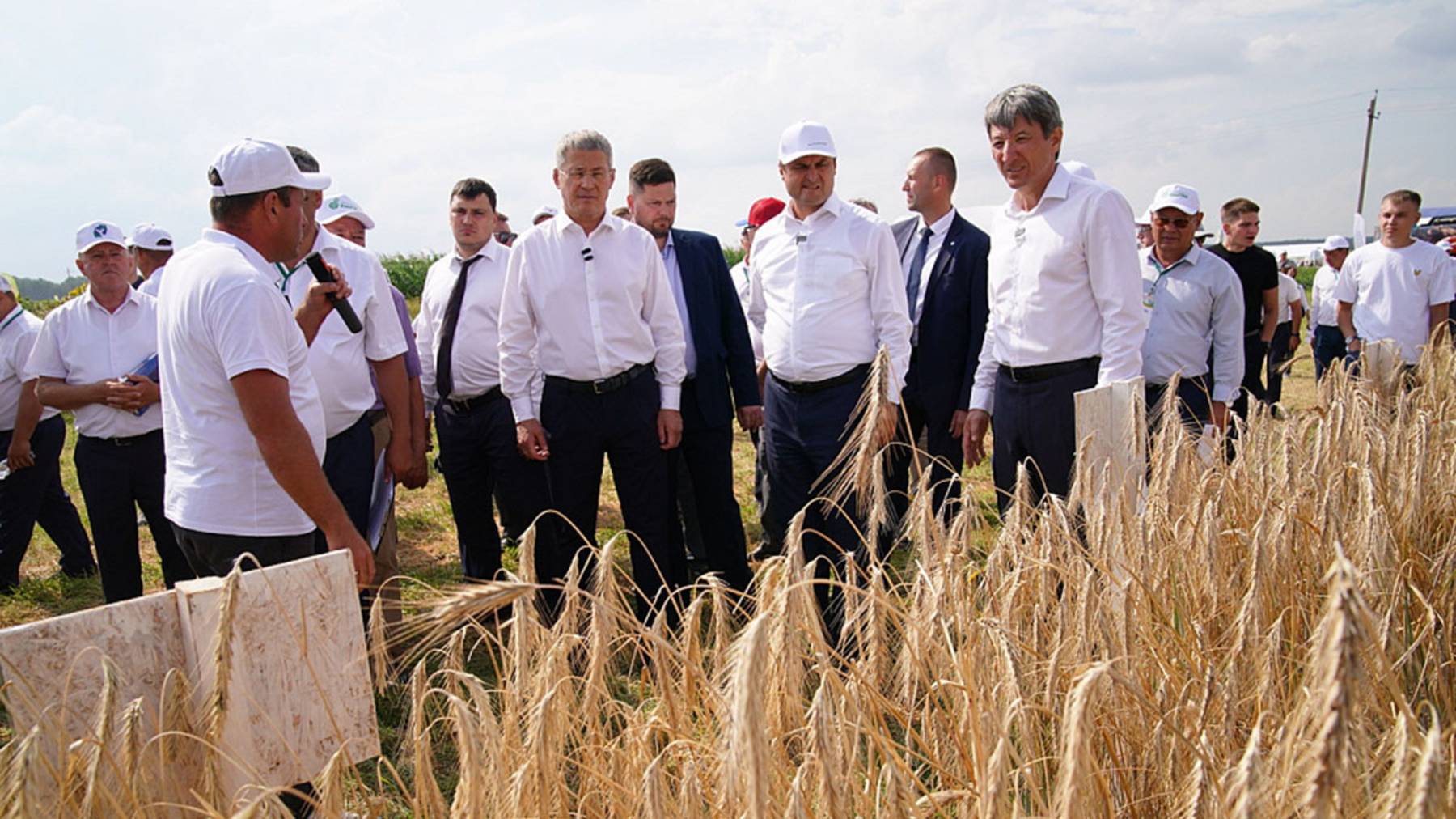 Уфимский район. День поля. Часть 1. Июль 2025 г.