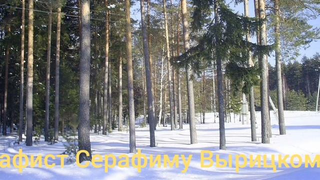 Акафист Серафиму Вырицкому