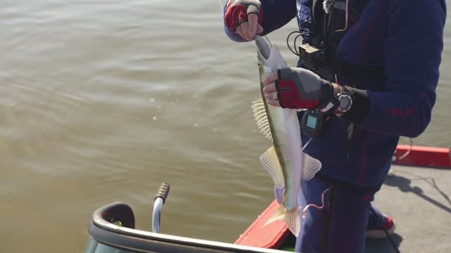 "НА ПОЛНУЮ КАТУШКУ"