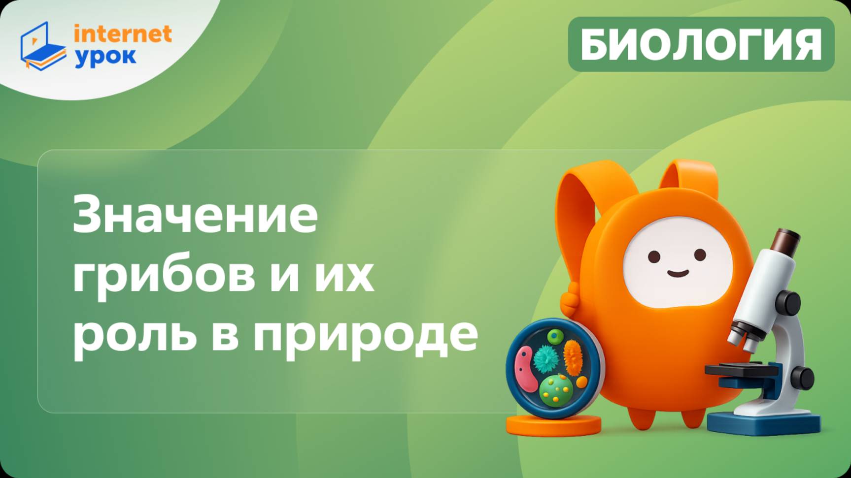 Значение грибов и их роль в природе. Видеоурок по биологии 5 класс