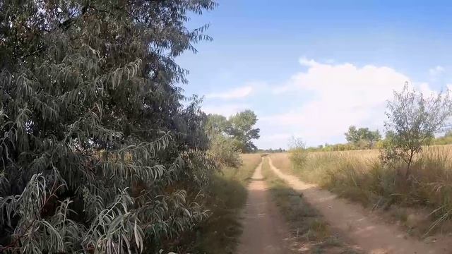 Дорога к сопке Авдошенко.😊