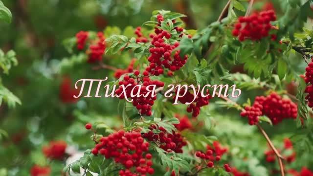 Тихая грусть