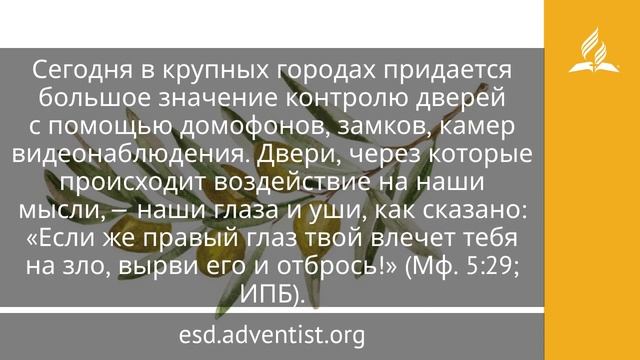 28 августа 2025. «Сердце чистое сотвори во мне». Под сенью благодати