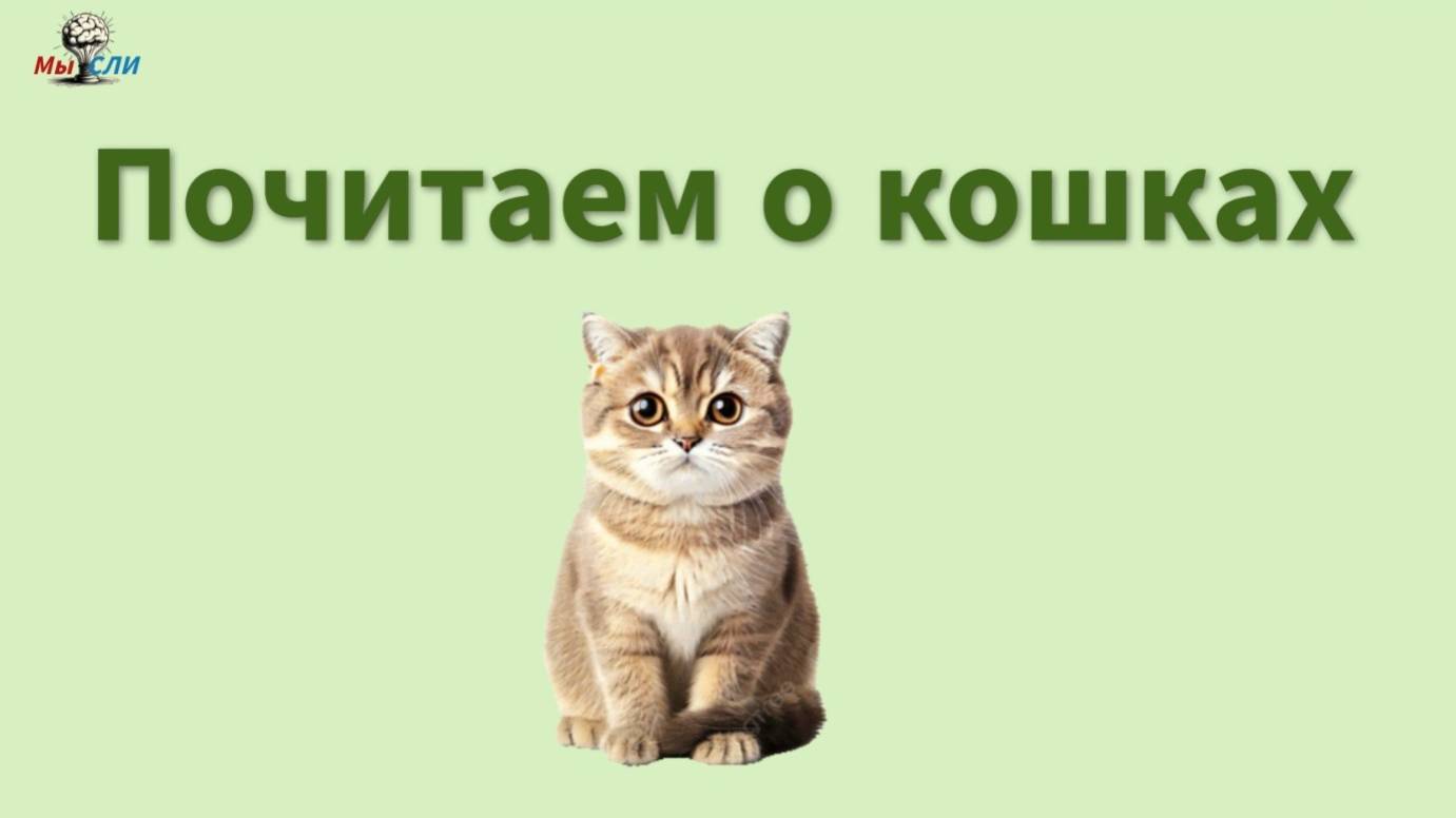 #кошки . Забрать игру можно по ссылке  https://t.me/MyslisoSvetlanoy