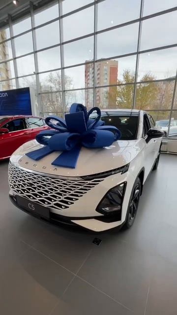 Как украсить машину за минуту? Красный бант для авто!