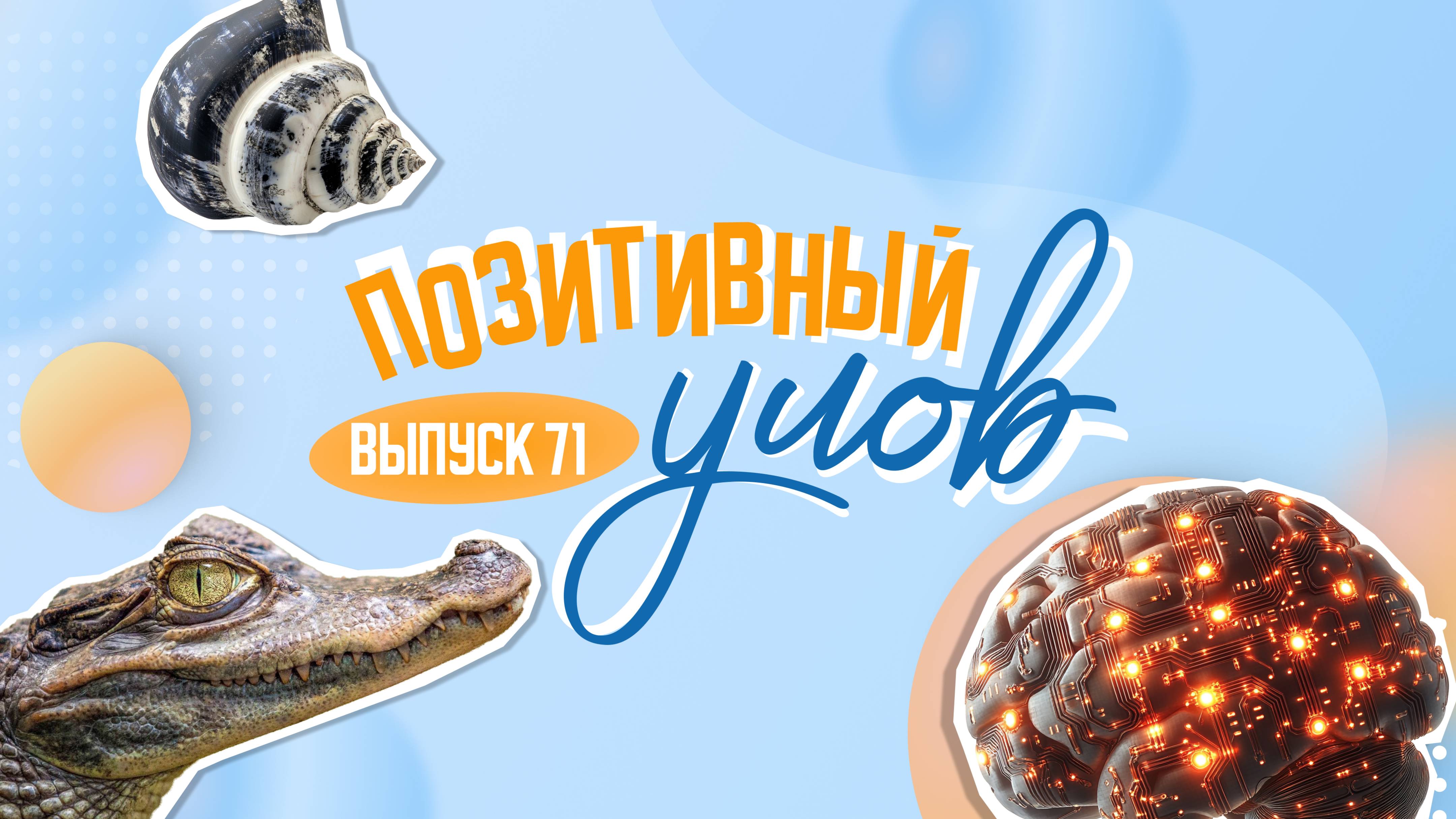 Русская панда и муха-гольфист. "Позитивный улов"