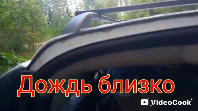 Грибы