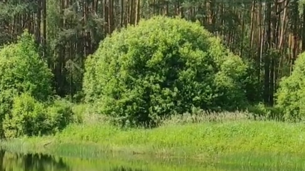 Акафист Святителю Николаю