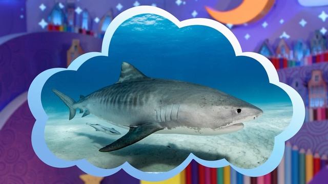 ✨Спокойной ночи, малыши✨136/2025 Почти поймал