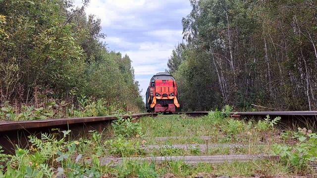 ТЭМ10-002