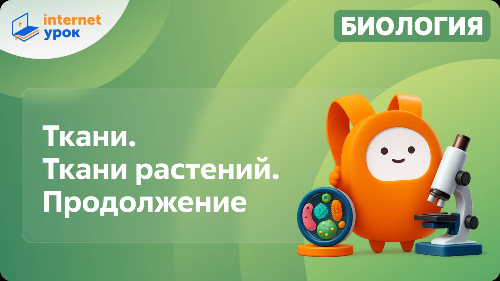 Ткани. Ткани растений. Продолжение. Видеоурок по биологии 5 класс
