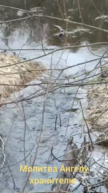 Молитва Ангелу хранителю