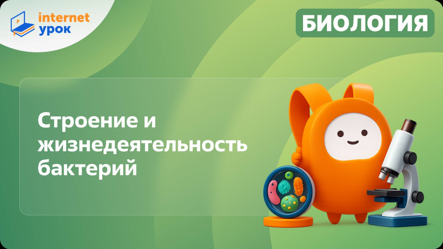 Строение и жизнедеятельность бактерий. Видеоурок по биологии 5 класс