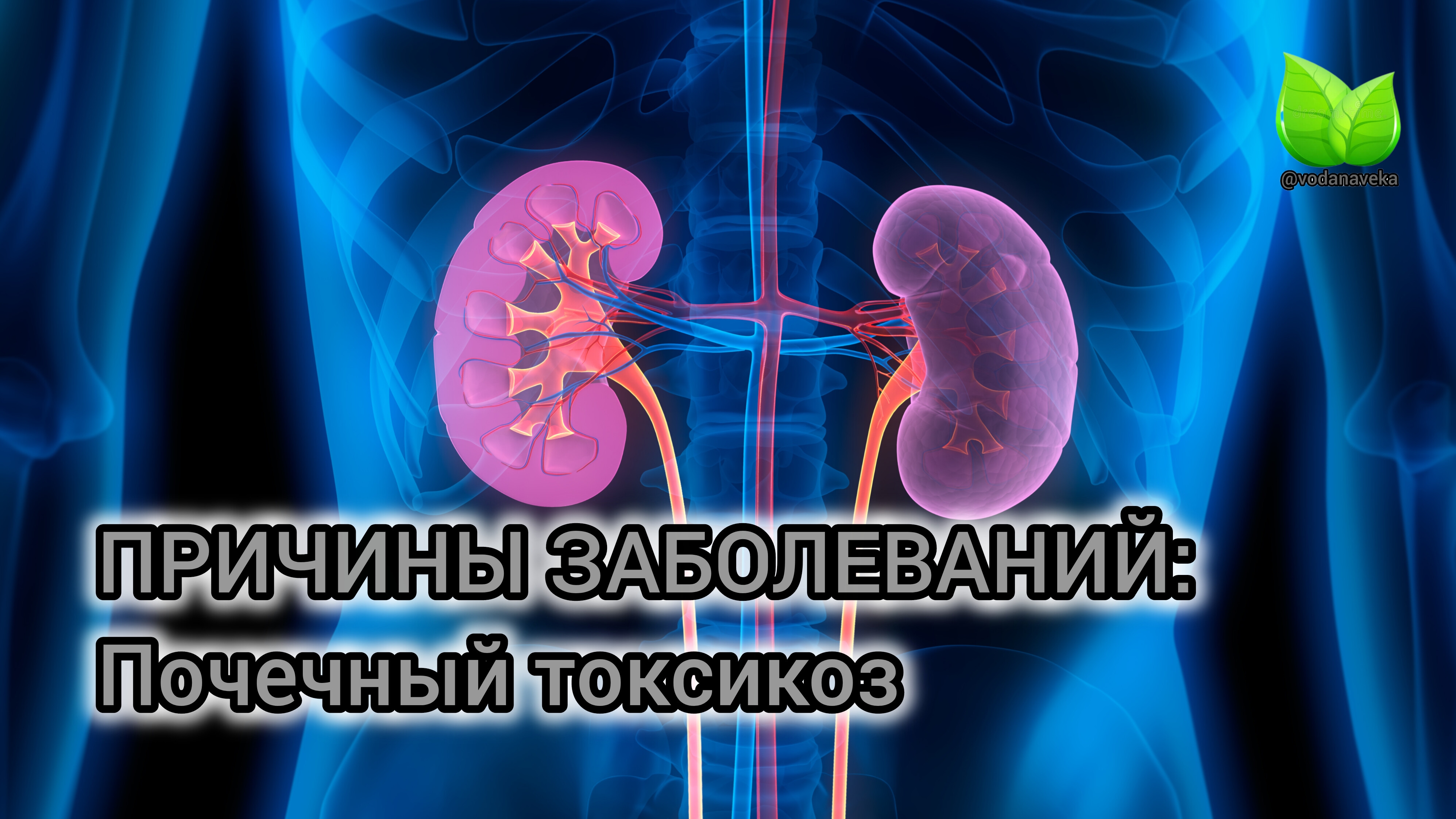 💥Причины заболеваний:почечный токсикоз. О.В.Похомутникова