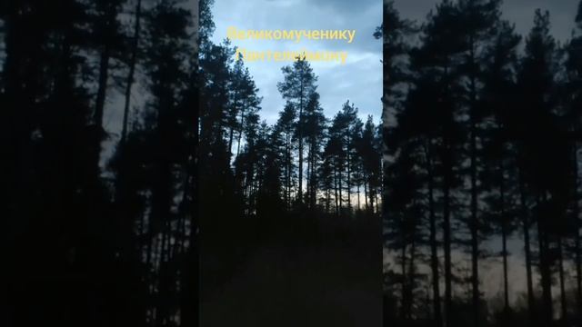 Молитва Великомученику Пантелеймону