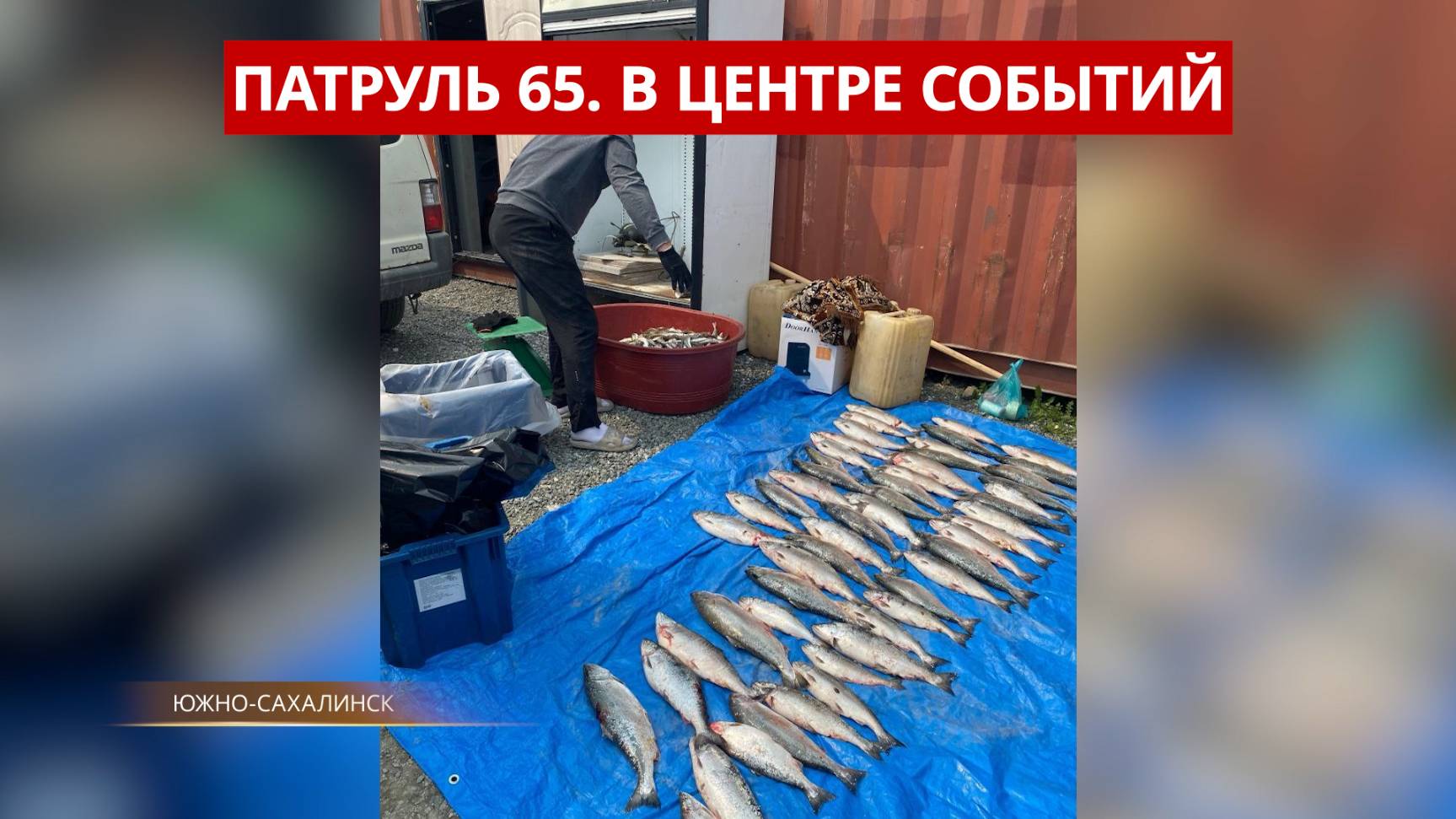 ПАТРУЛЬ 65: Спасение туристов, акула у берегов и подпольный цех морепродуктов. Сахалин 27.08.25