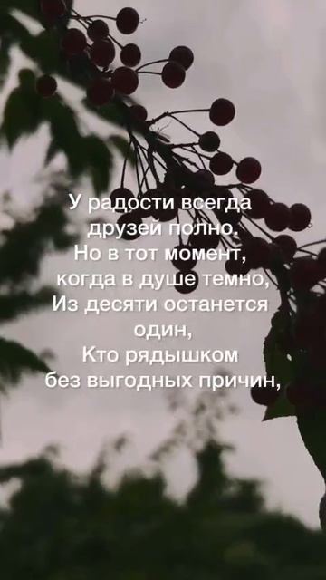 Не трать себя на всех ,а посмотри... 27-08-2025