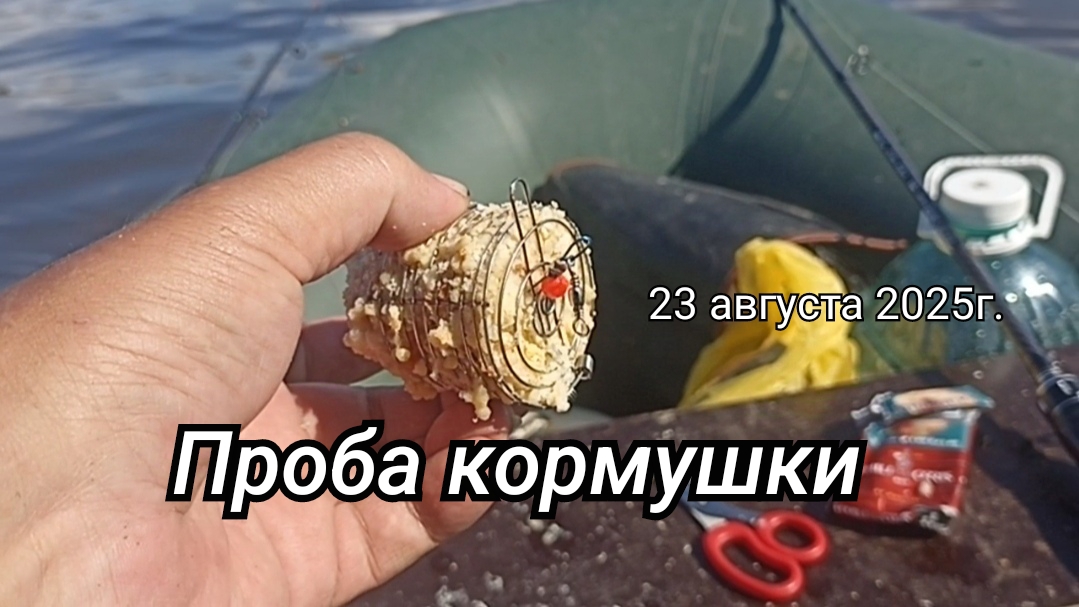 Проба кормушки. 23.08.25г.