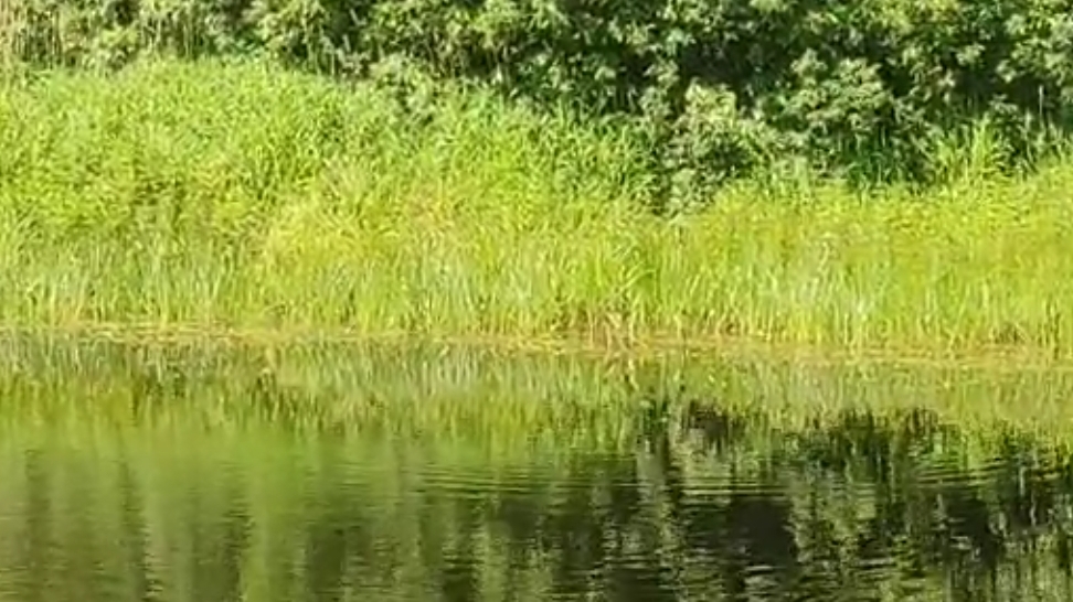 Молитвы утренние