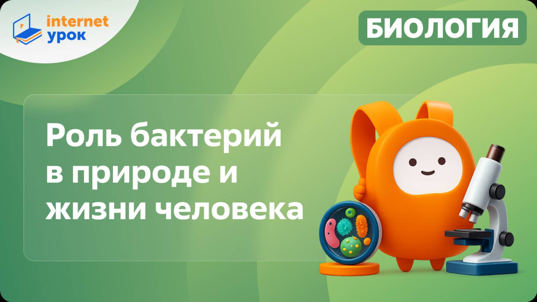 Роль бактерий в природе и жизни человека. Видеоурок по биологии 5 класс