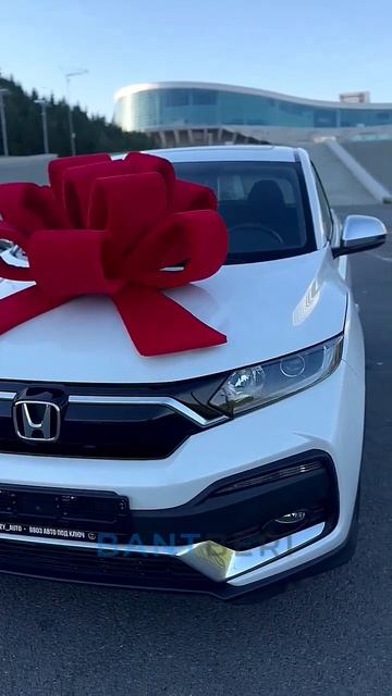 БАРХАТНЫЙ бант 1 метр