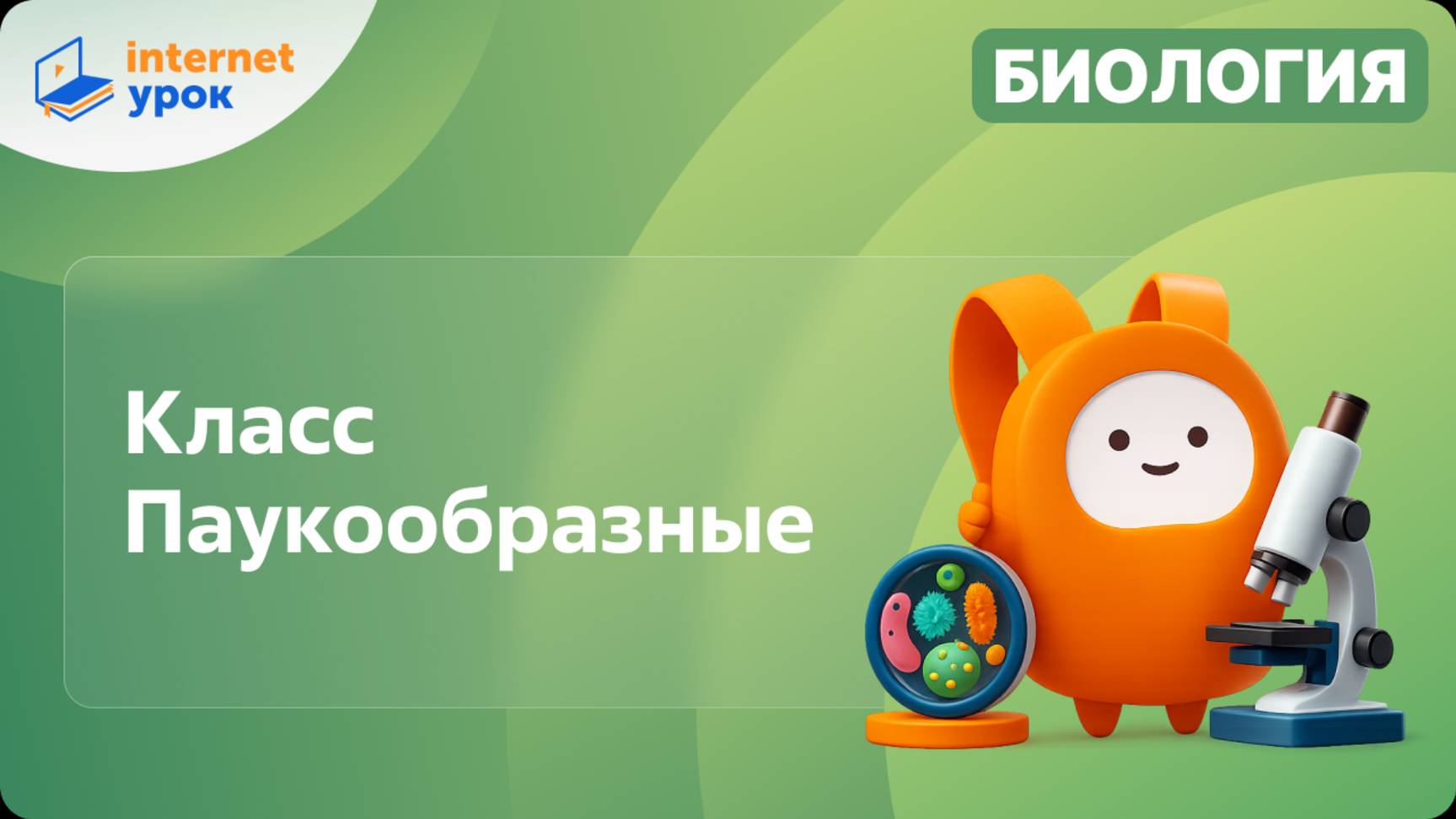 Класс Паукообразные. Видеоурок по биологии 7 класс