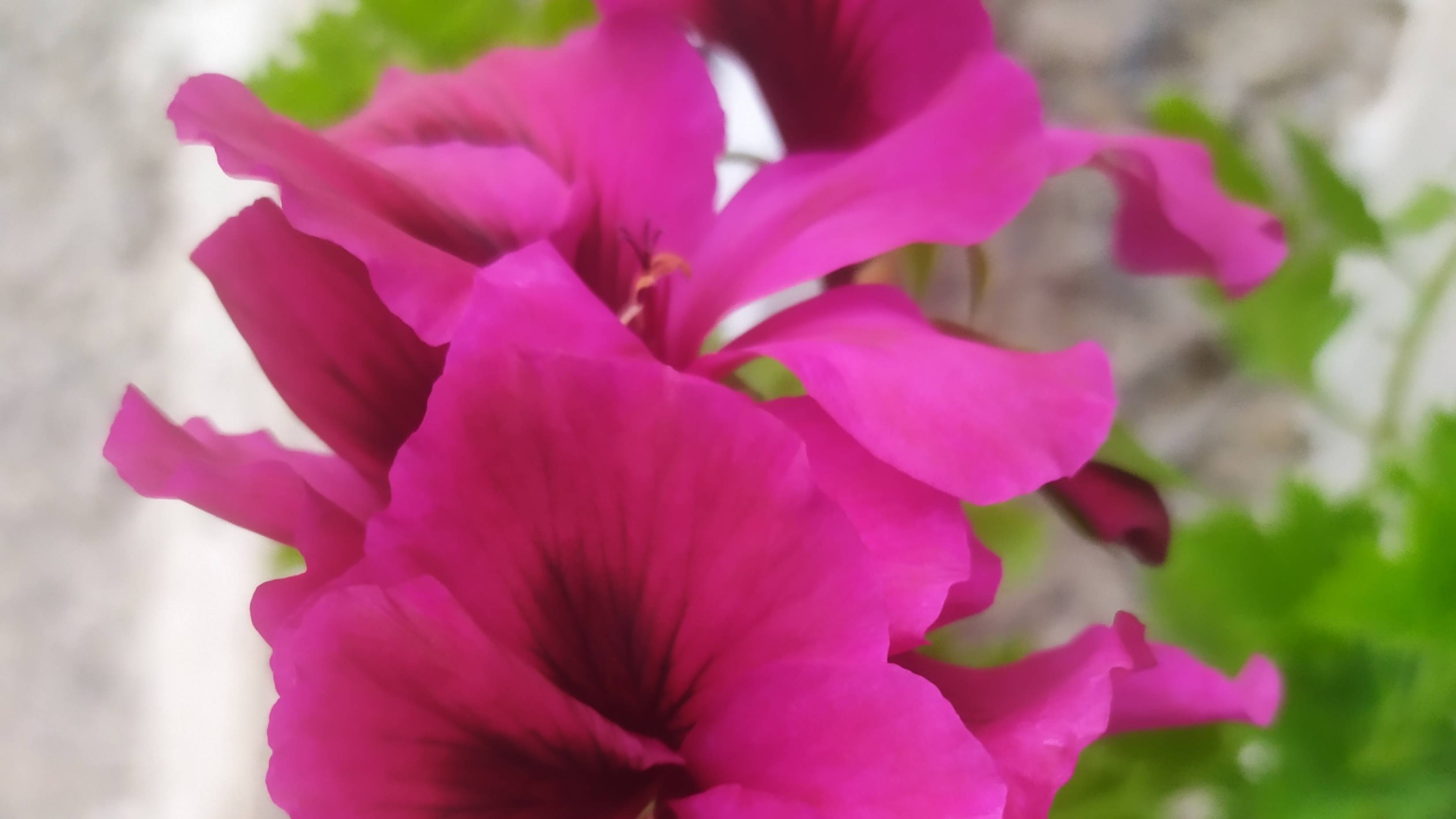 А СЕГОДНЯ ТАК.