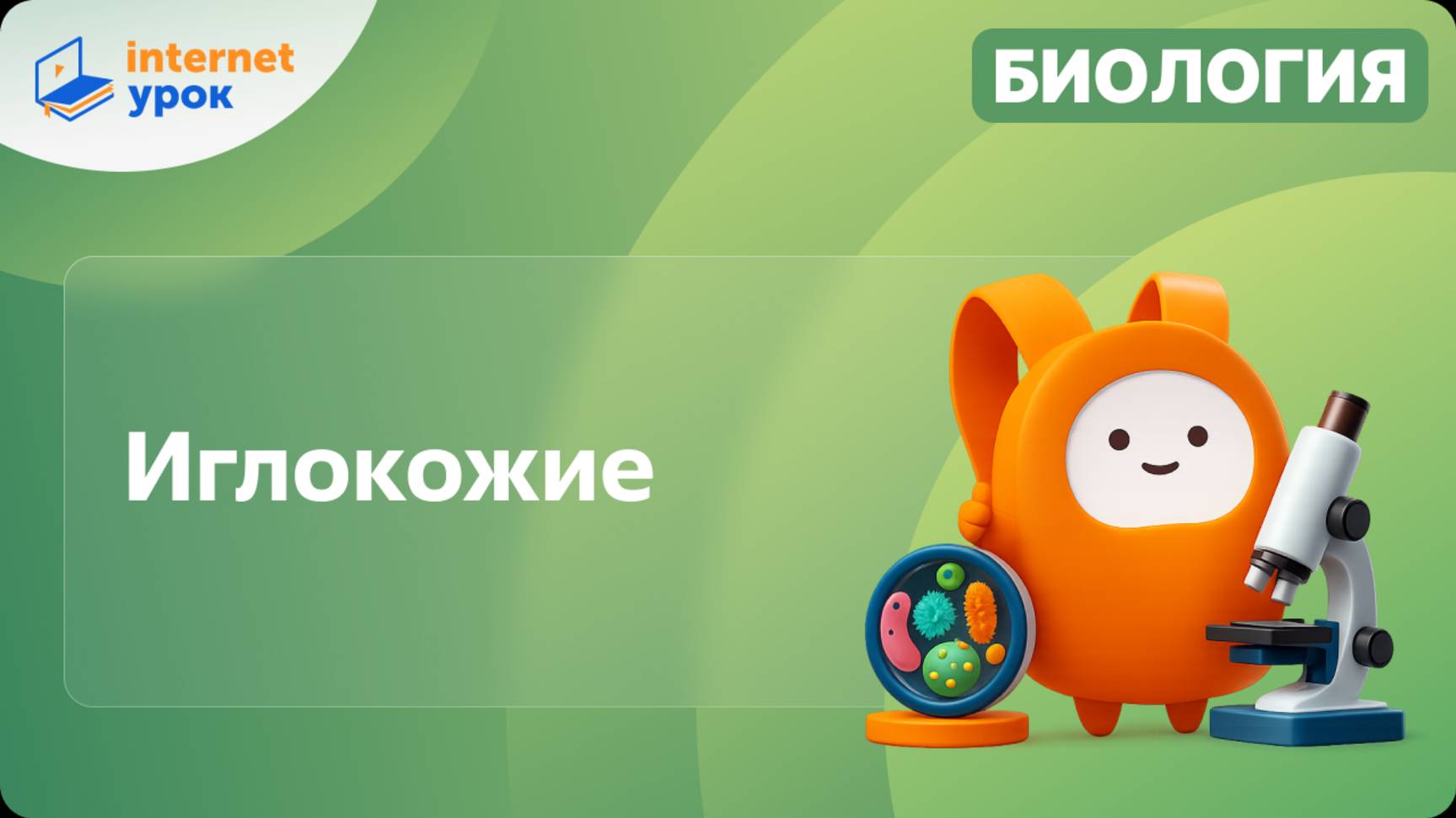 Иглокожие. Видеоурок по биологии 7 класс