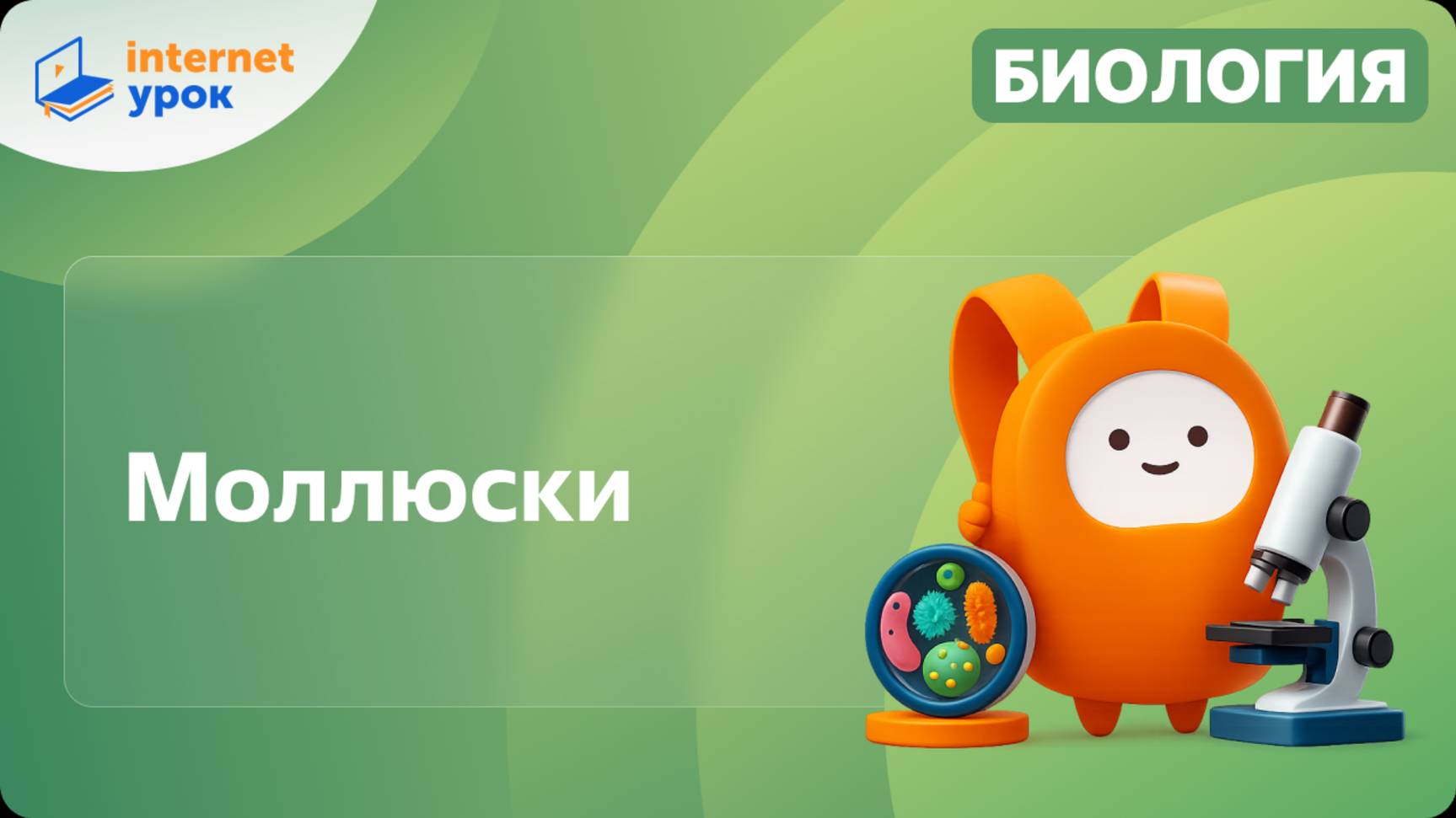 Моллюски. Видеоурок по биологии 7 класс