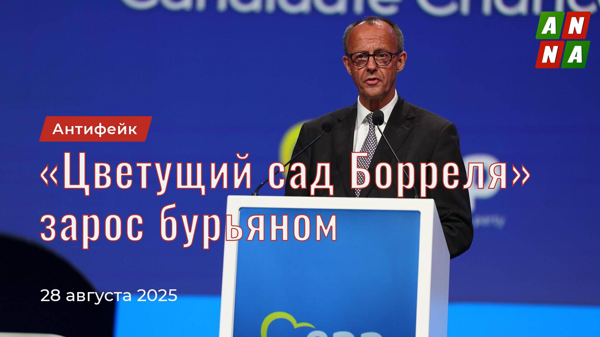 «Цветущий сад Борреля» зарос бурьяном