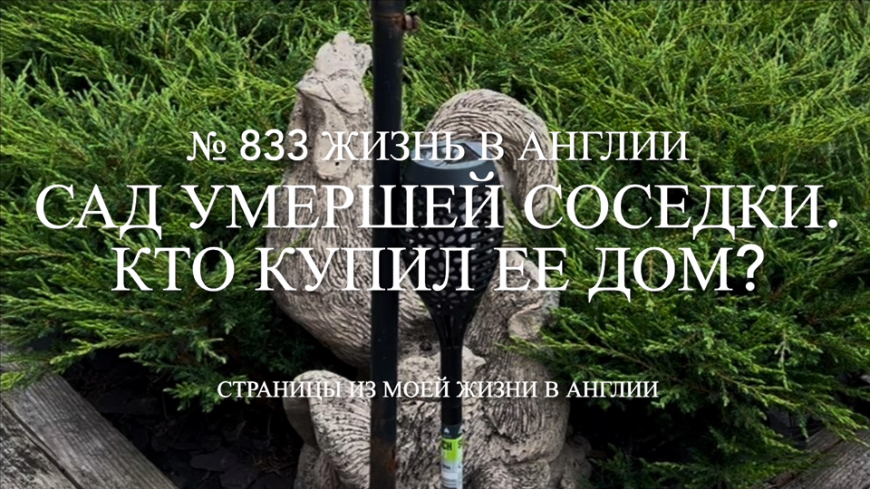 Сад умершей соседки. Кто купил ее дом? Наш сад и цветочки. № 833 Жизнь в Англии