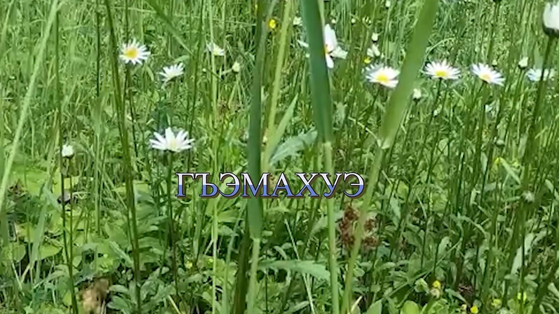 «Гъэмахуэ»