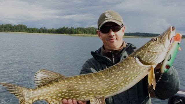 Наш герой
