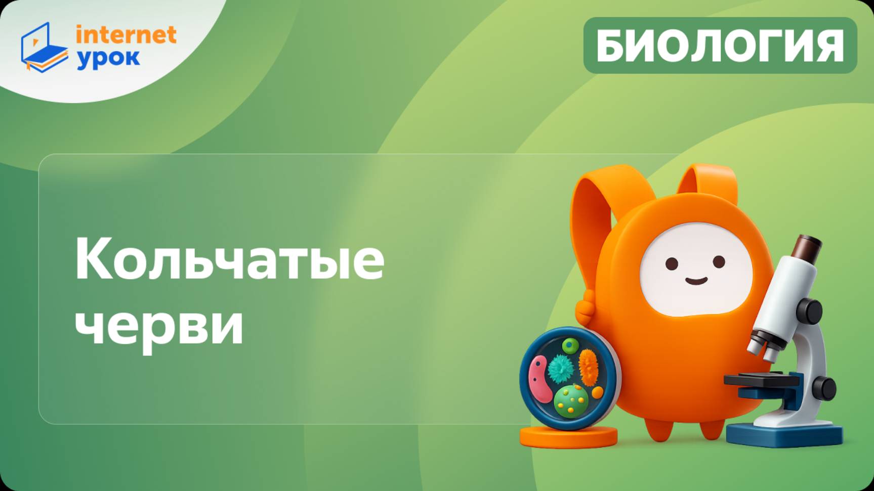 Кольчатые черви. Видеоурок по биологии 7 класс