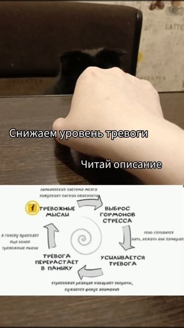 Упражнения для снижения уровня тревоги. Рекомендации. Дыхательные практики. Читай описание.