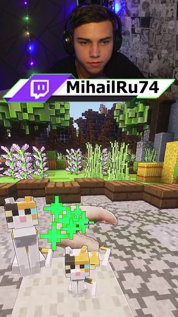 Котики в Minecraft можно погладить?