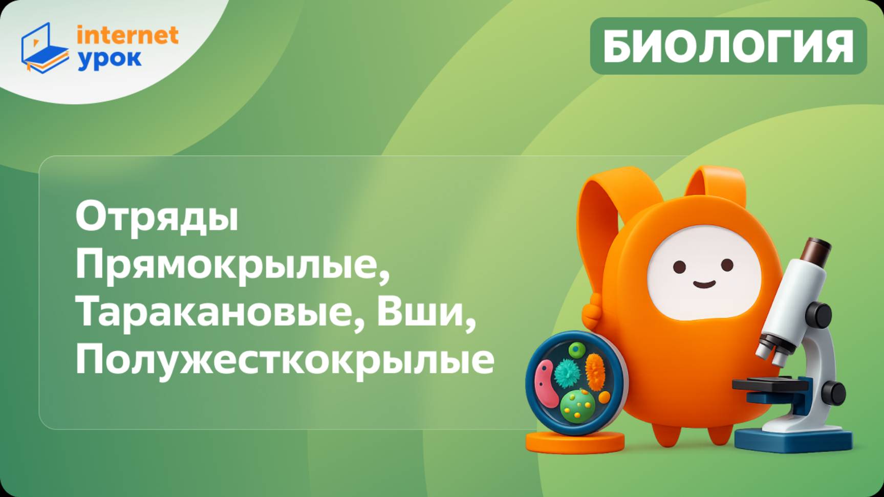 Отряды Прямокрылые, Таракановые, Вши, Равнокрылые хоботные, Полужесткокрылые. Видеоурок по биологии