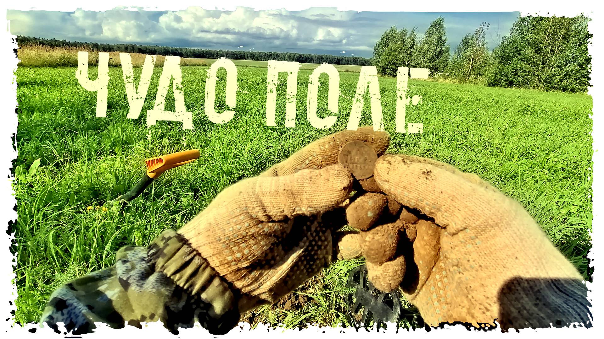 ПОИСКИ КЛАДОВ "ЧУДО ПОЛЕ"