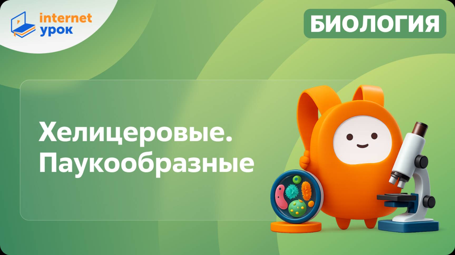 Хелицеровые. Паукообразные. Видеоурок по биологии 7 класс